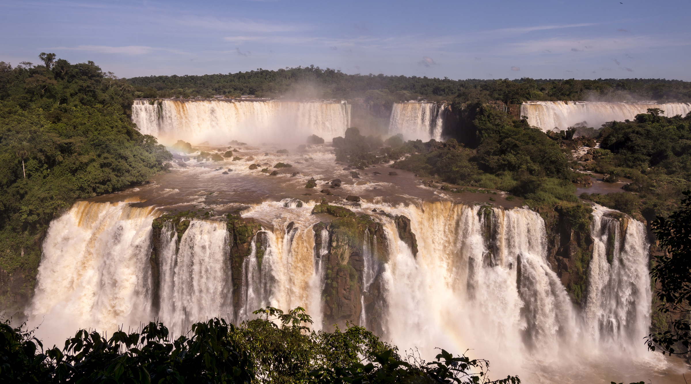 Discovering the fauna of the Iguaçu National Park | WWF Brasil