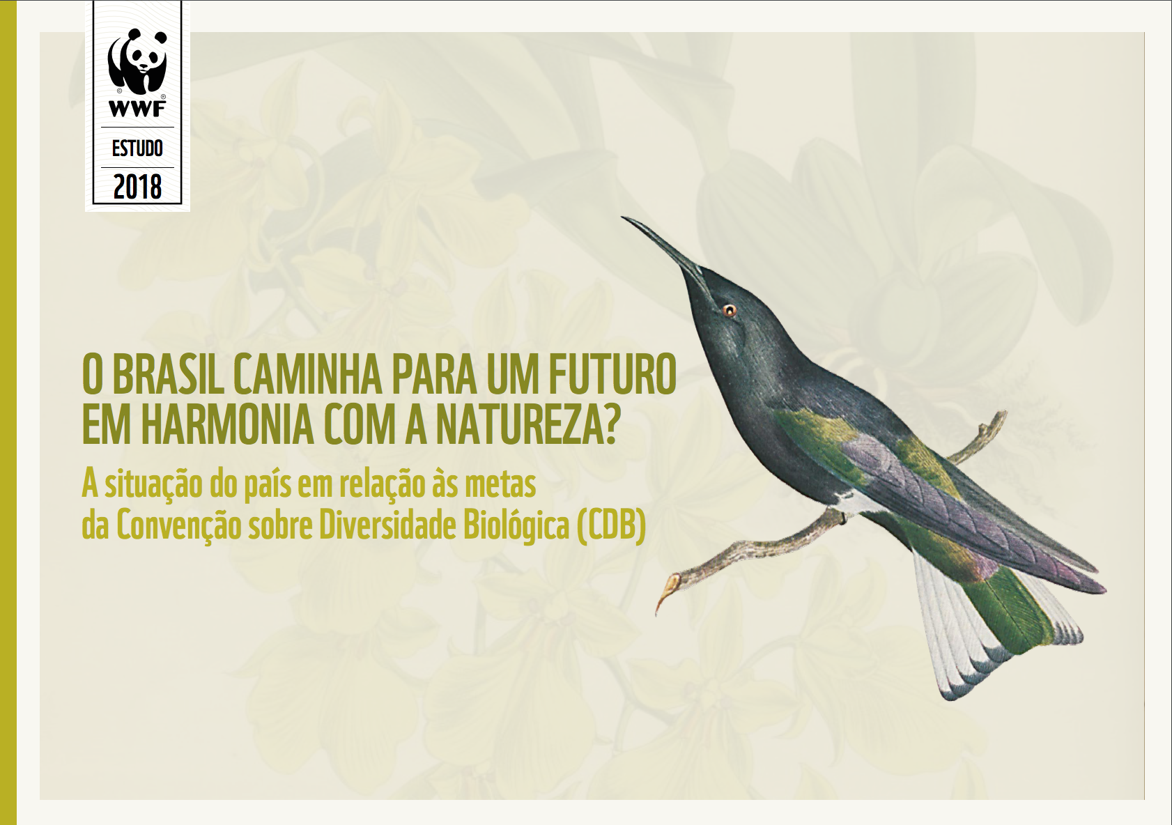 Publicação do WWF-Brasil avalia metas nacionais de biodiversidade | WWF ...