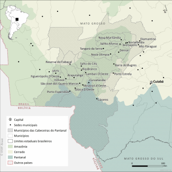 Three years of the pact to conserve the Pantanal | WWF Brasil